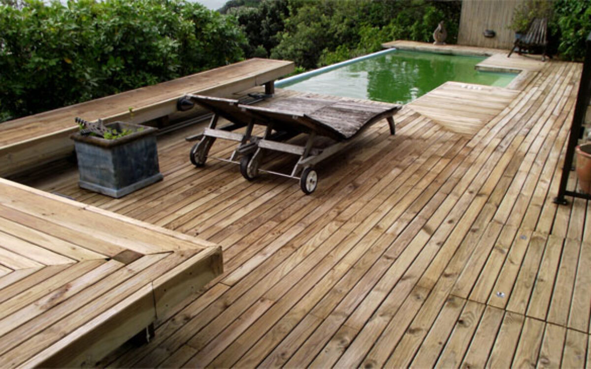 ΠΕΥΚΟ ΕΜΠΟΤΙΣΜΟΥ - Dipo